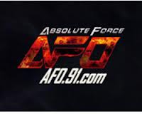 Absolute Force Online Additions